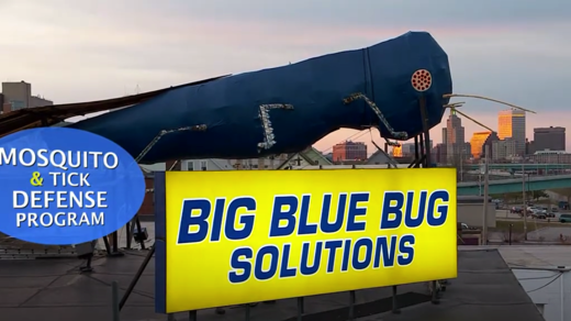 About Big Blue Bug Solutions | Pest Control In RI, MA And CT
