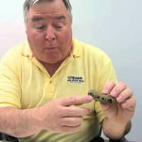 Take A Closer Look With Tony T.V.